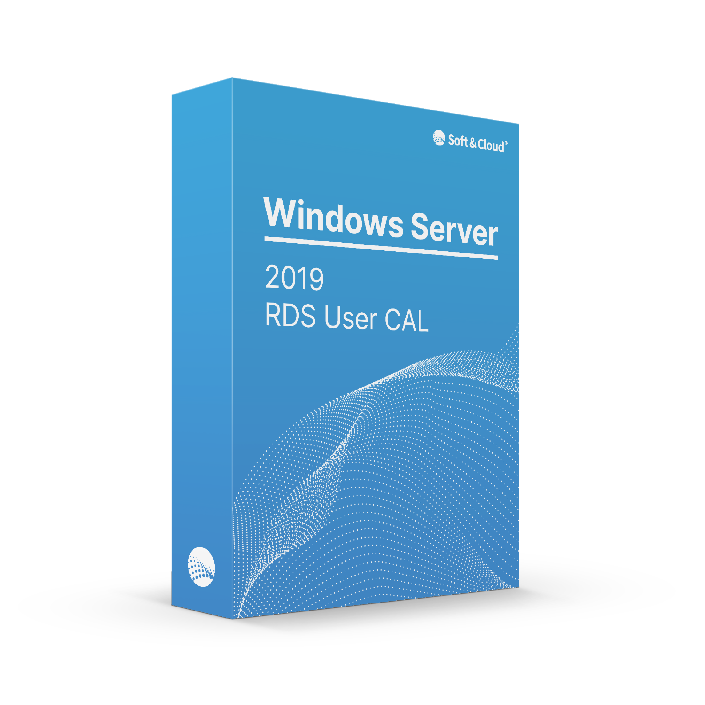 Microsoft RDS 2019 User CAL d'occasion